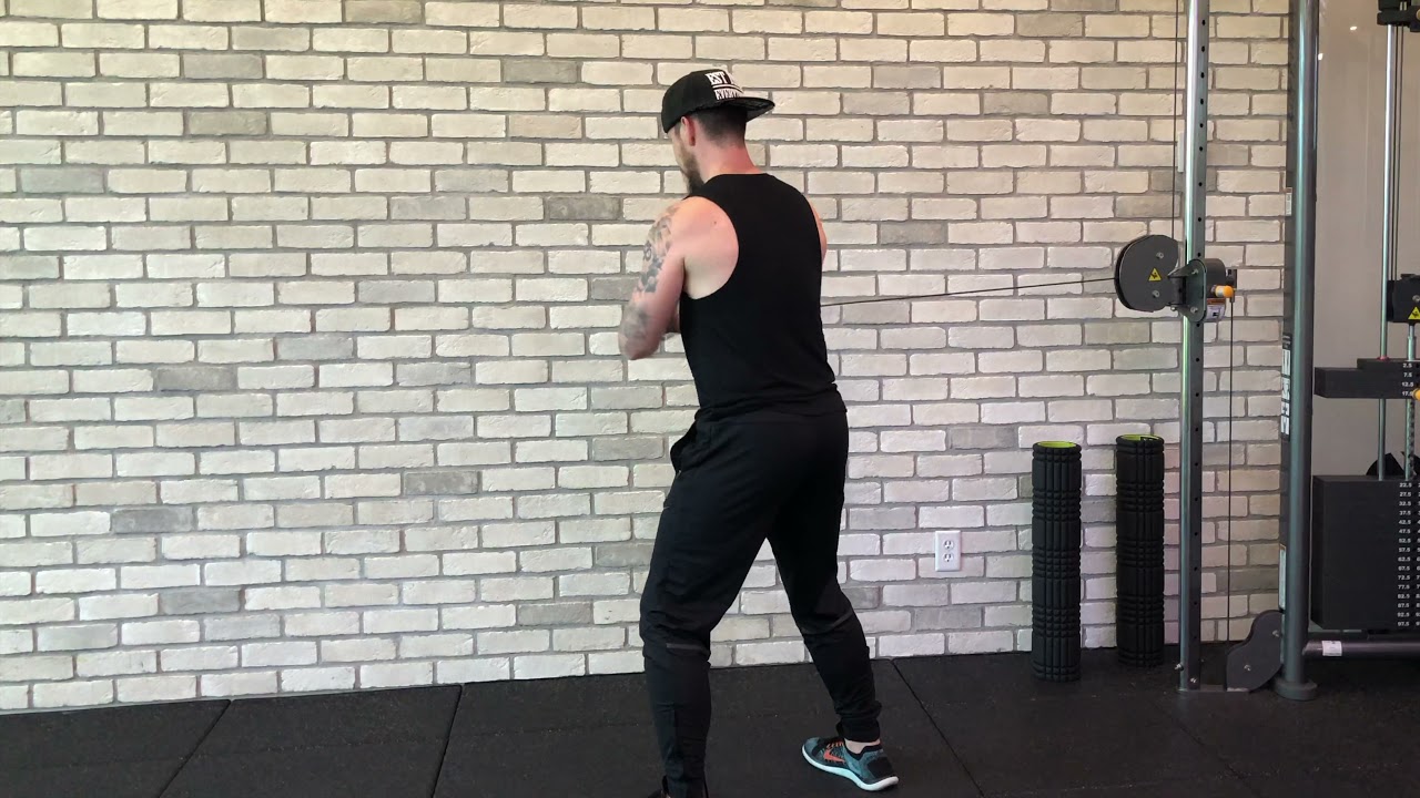 Standing Cable Anti Rotation Press - YouTube