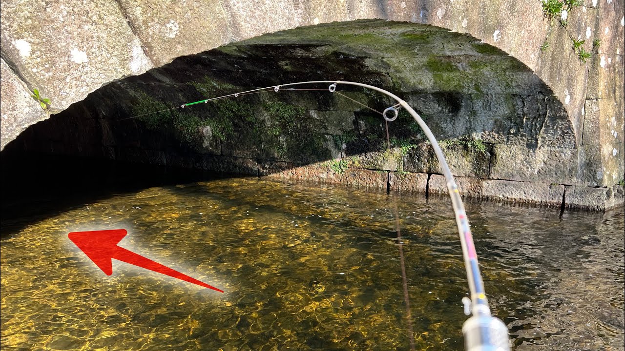 Lure Fishing IN A TUNNEL?! Tiny stream Trout Fishing - YouTube