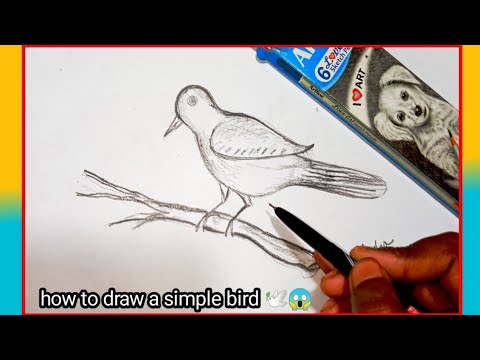 How to draw a bird easy and simple 😱||bird drawing|| - YouTube