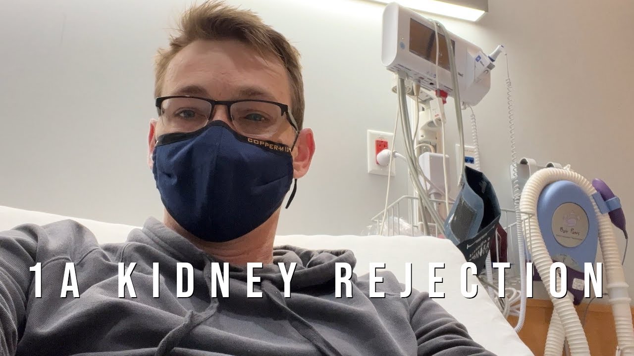 Kidney Transplant Rejection - YouTube