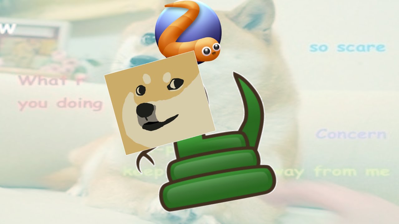Slither.io: DOGE SNAKE!! - YouTube