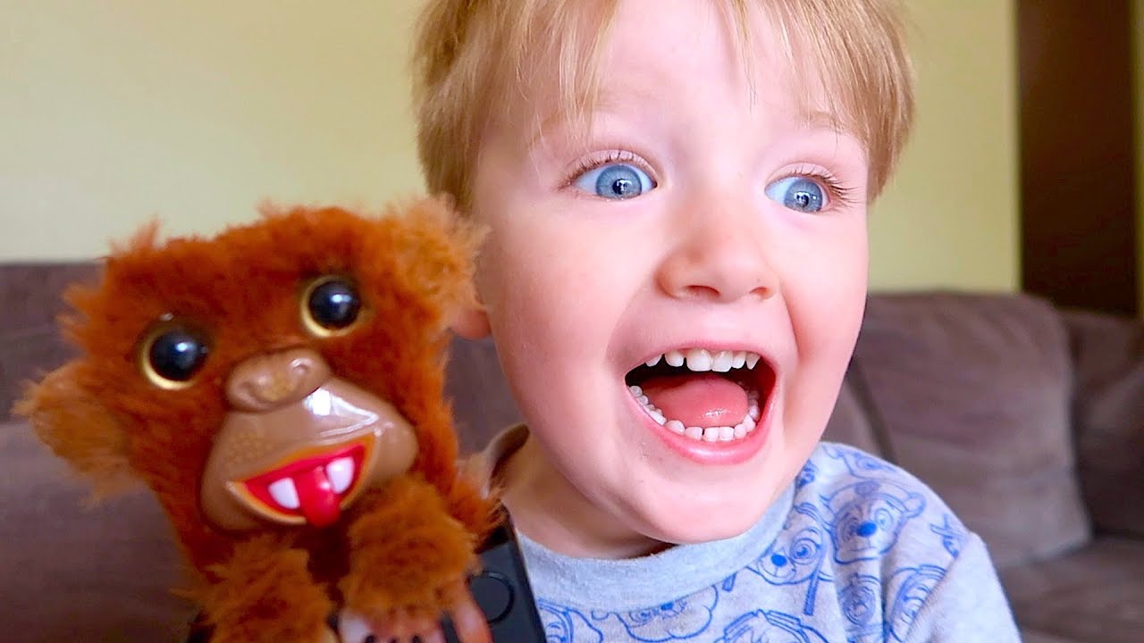 POP UP BEAR TOY SURPRISE! - YouTube