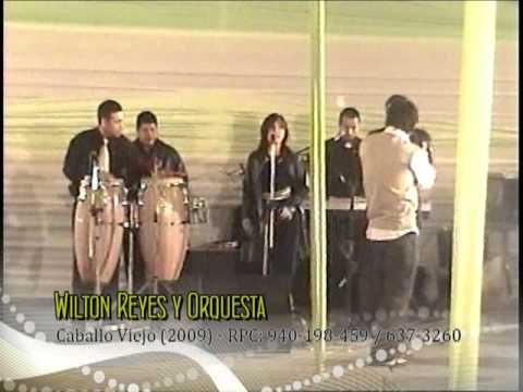 WILTON REYES Y ORQUESTA - CABALLO VIEJO (SALSA) - YouTube
