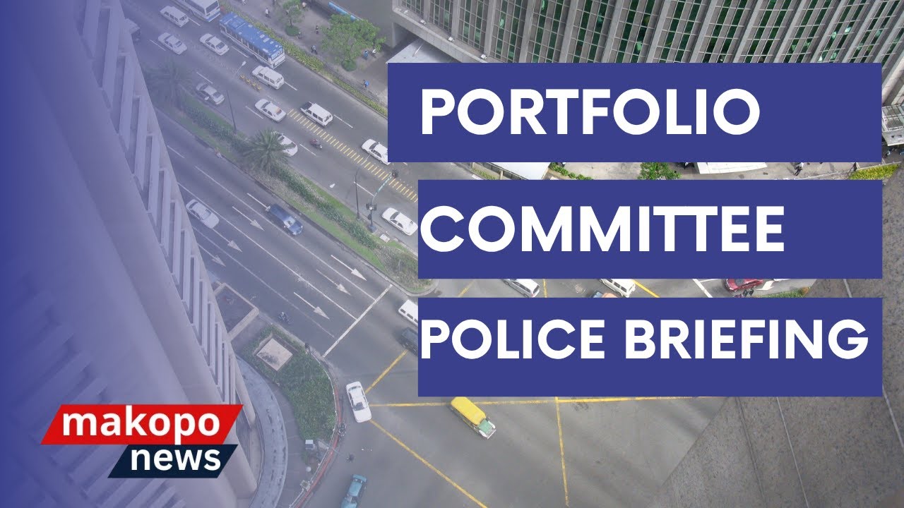 🔴 Portfolio Committee on Police Briefing | SAPS & CSPS 2024/2025 Annual ...