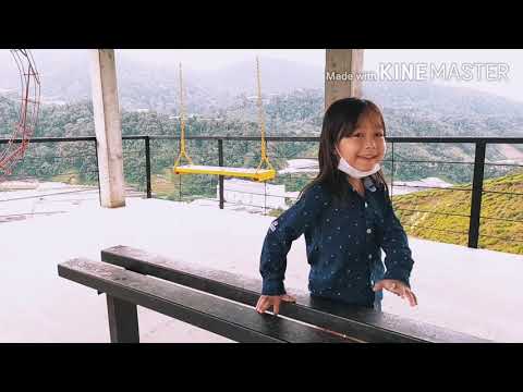 Cameron highlands atv safari - YouTube