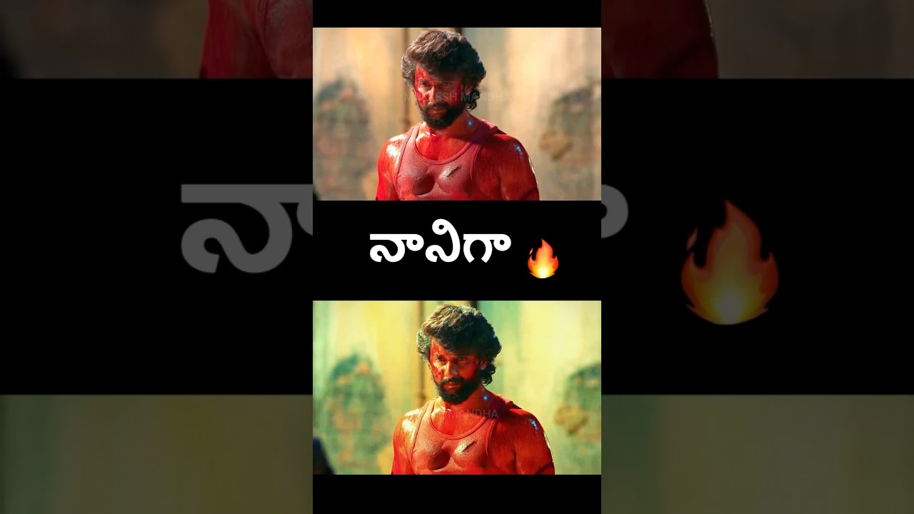 Nani HIT 3 Telugu Movie Review - YouTube