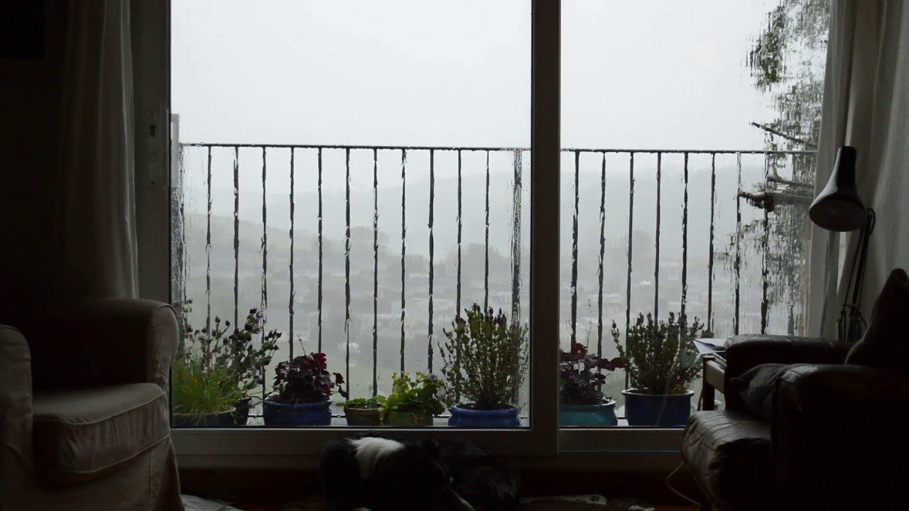 Morning Rainstorm (soothing) - YouTube