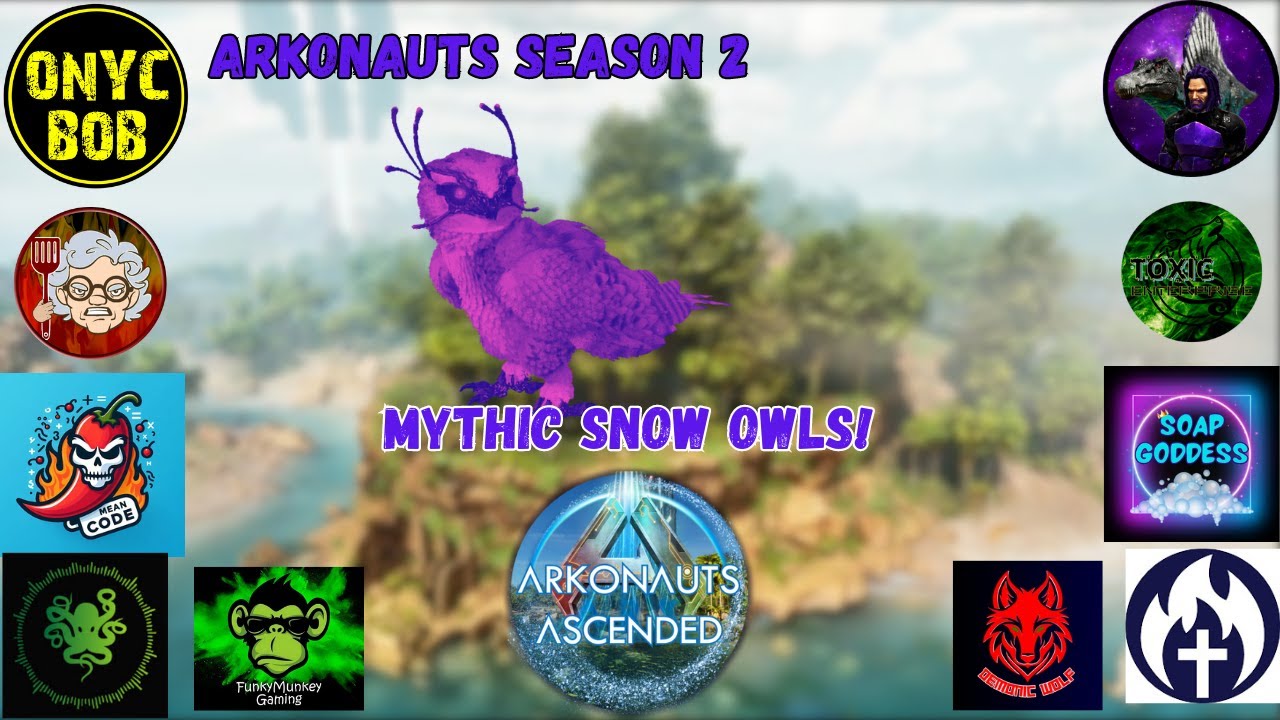 Pink Snow Owls? - YouTube