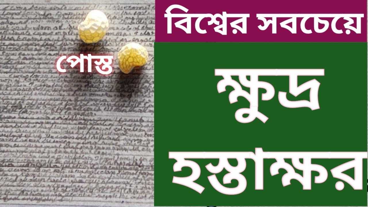 World Smallest Handwriting | Record Breaking Micro Writing ️ - YouTube