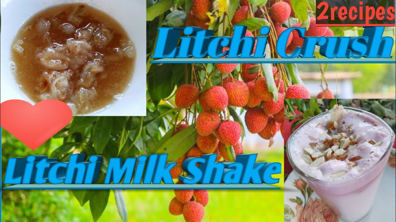Litchi Crush recipe!Litchi Milk Shake recipe!Lychee recipe!Lichi shake ...
