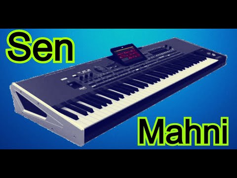 Sen Mahni Sintezator Popuri