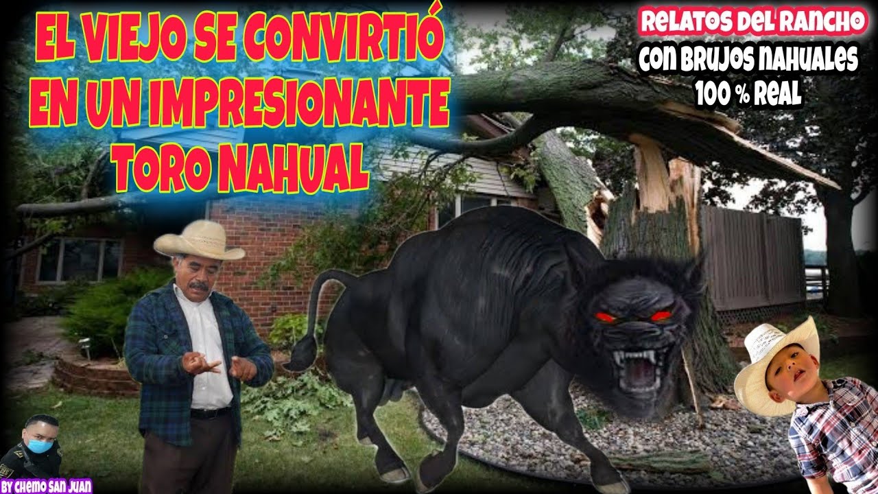 EL VIEJO SE CONVIRTIÓ EN UN TORO NAHUAL / La batalla de los brujos ...