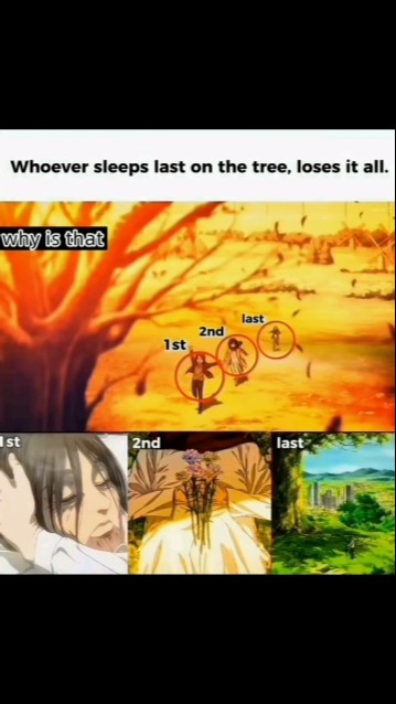 whoever sleeps last on tree , loses it all. #anime - YouTube