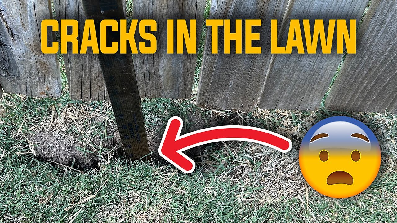 Drought Cracks in the Lawn - YouTube