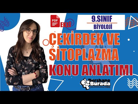 9.SINIF - TYT BİYOLOJİ  Çekirdek ve Sitoplazma Konu Anlatımı