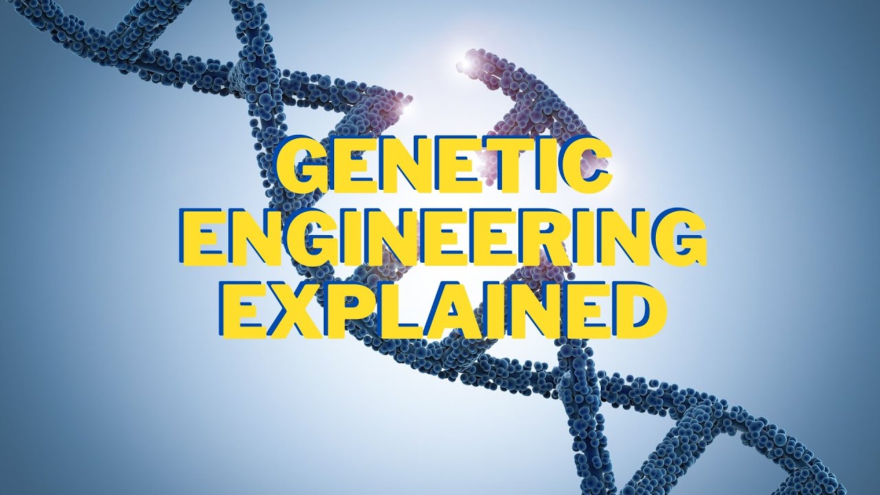 Genetic engineering explained simply - YouTube