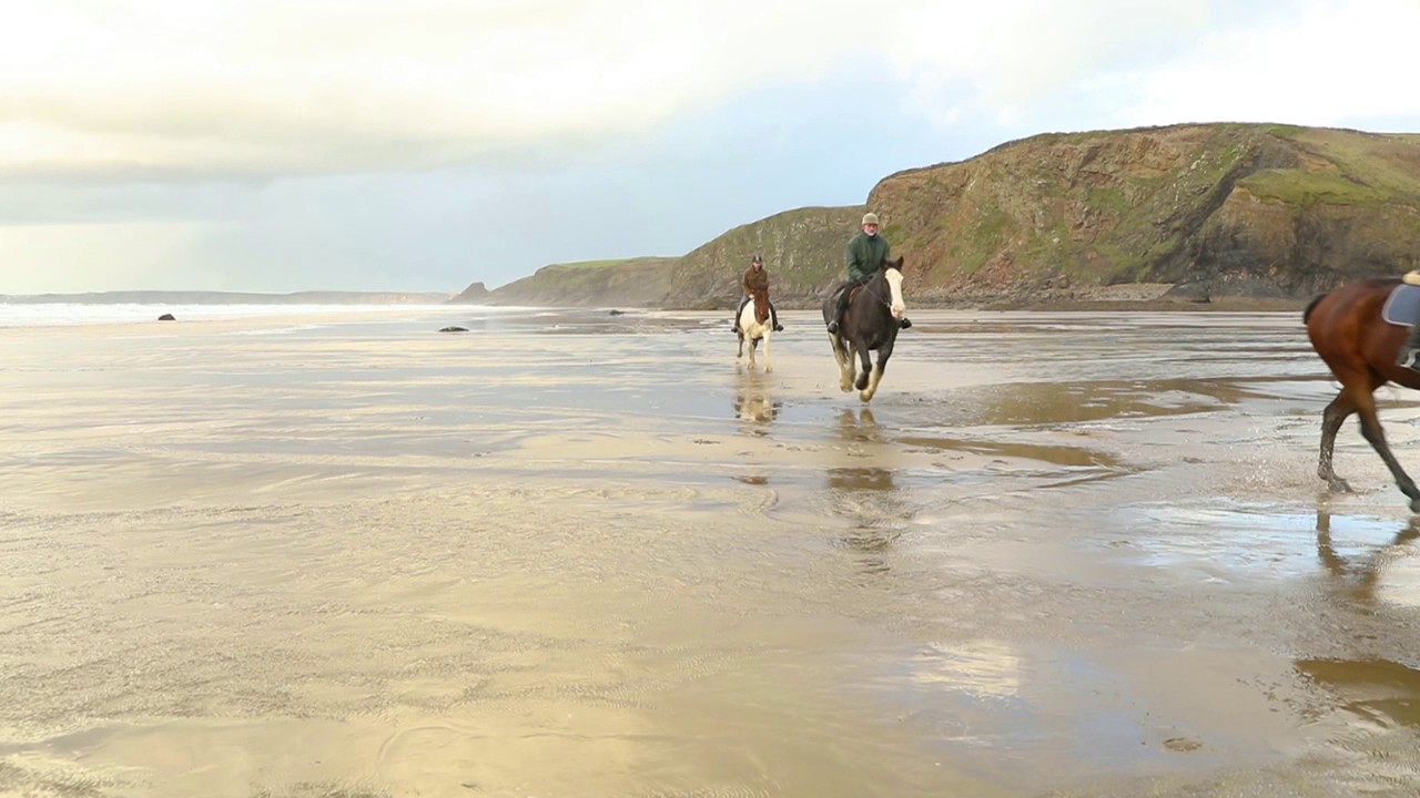 Nolton Stables Beach Riding Pembrokeshire - YouTube