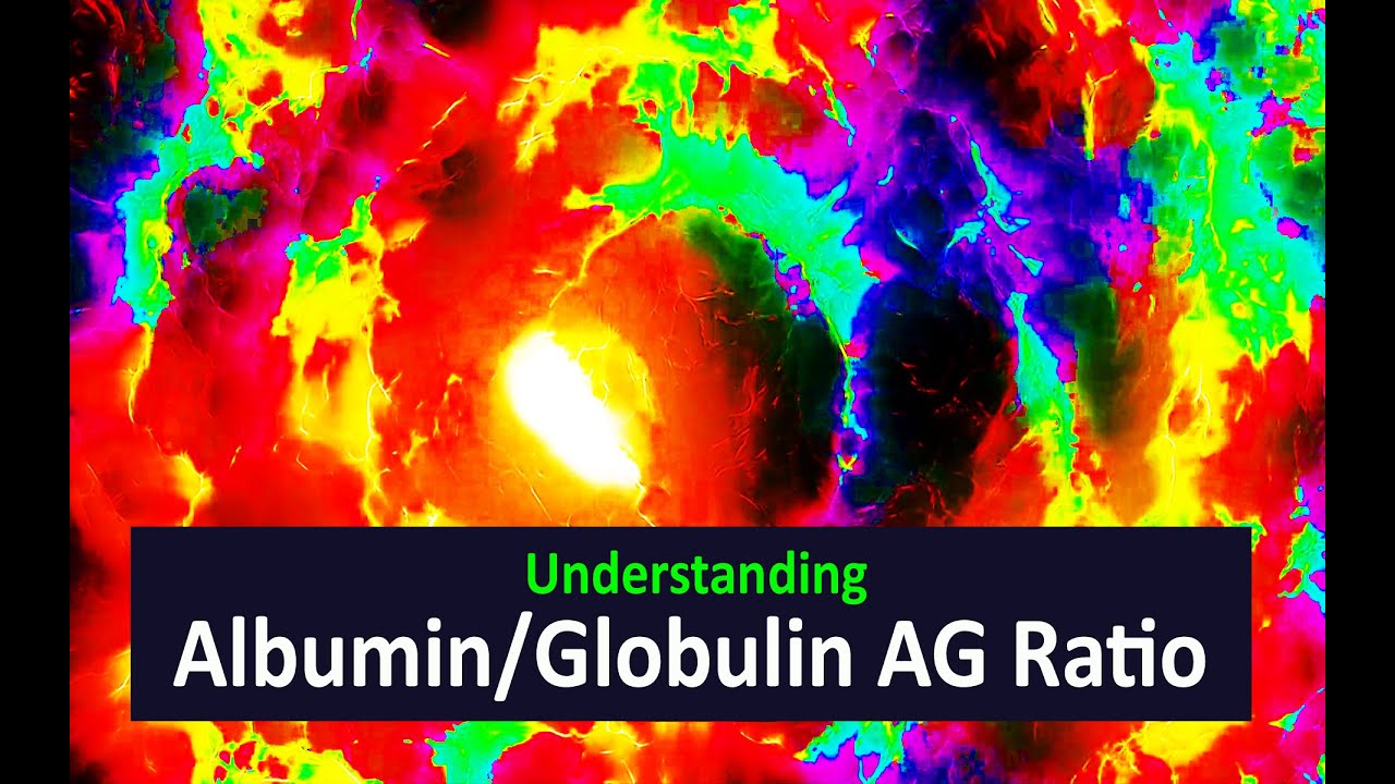 Understanding the Albumin / Globulin AG Ratio - YouTube