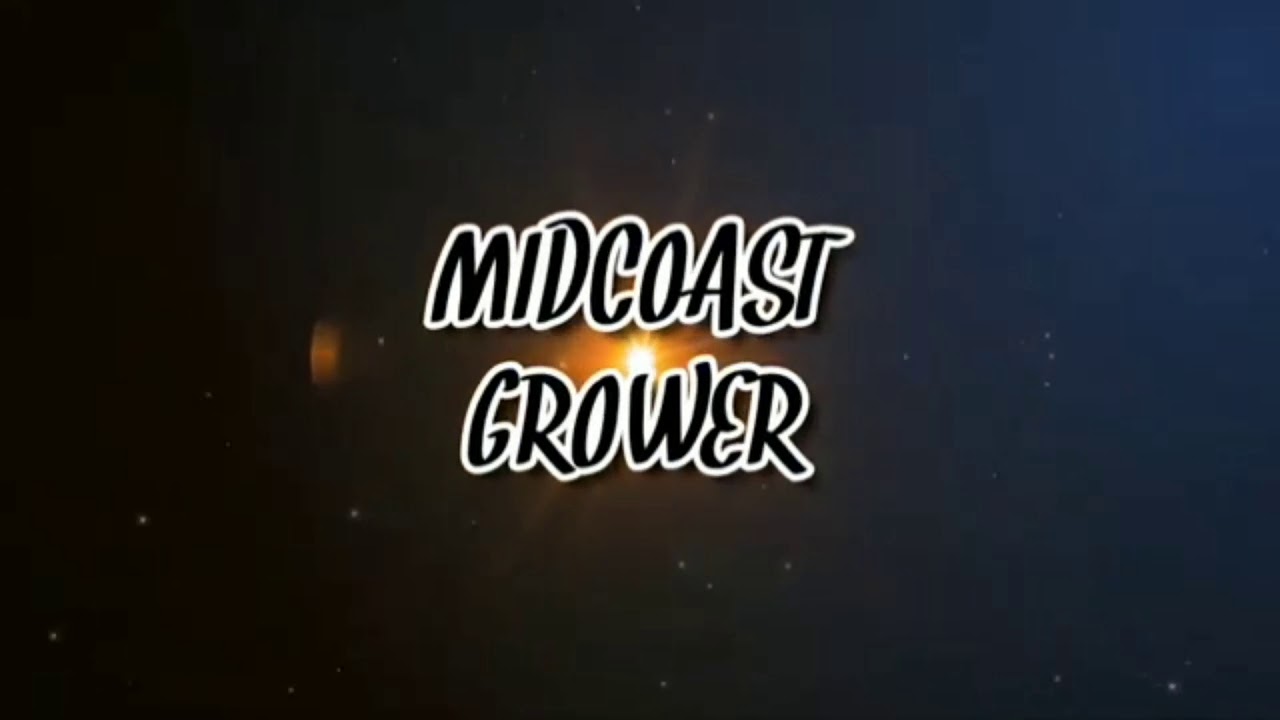 Week 7 flower - YouTube