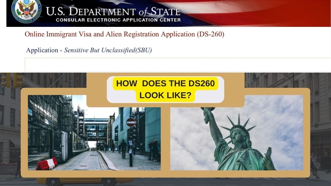 DS-260 Form Overview: What It Looks Like and What’s Inside #ds260 # ...