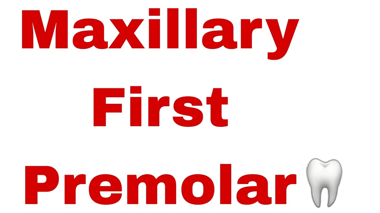 NMU CARVING MAXILLARY FIRST PREMOLAR #UPPER #4 - YouTube