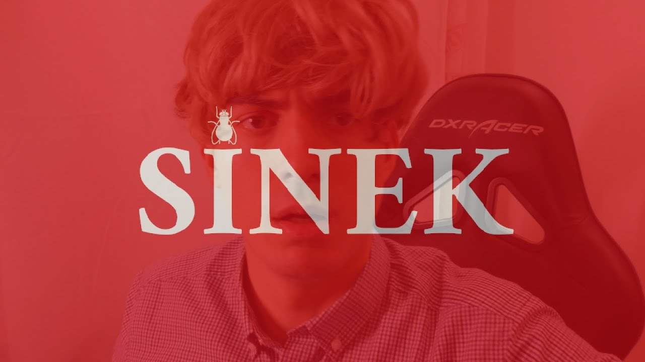 [ SİNEK ] - YouTube