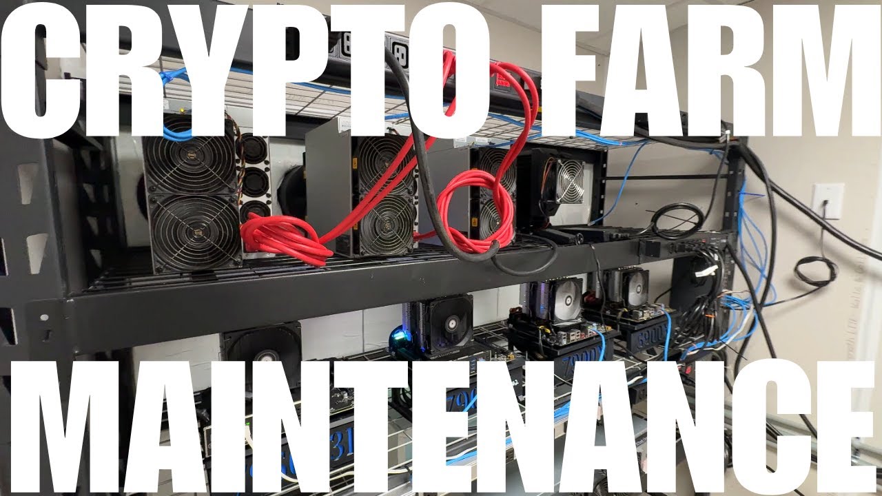 Pollen APOCALYPSE in my home mining farm - YouTube