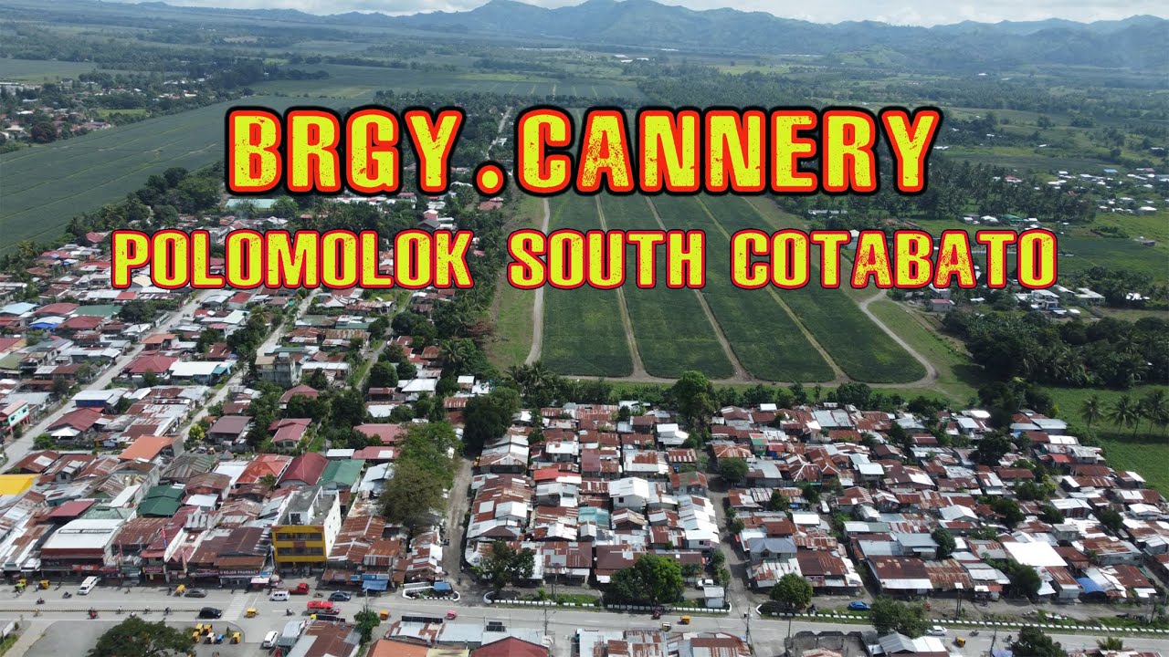 POLOMOLOK SOUTH COTABATO | AERIAL VIEW OF BRGY. STA. CRUZ, CANNERY SITE ...