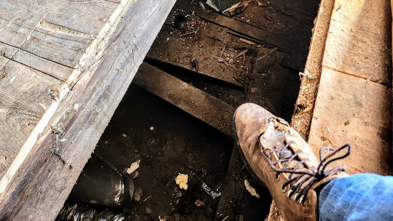 We found something dead in the basement! But hey it smells better now ...