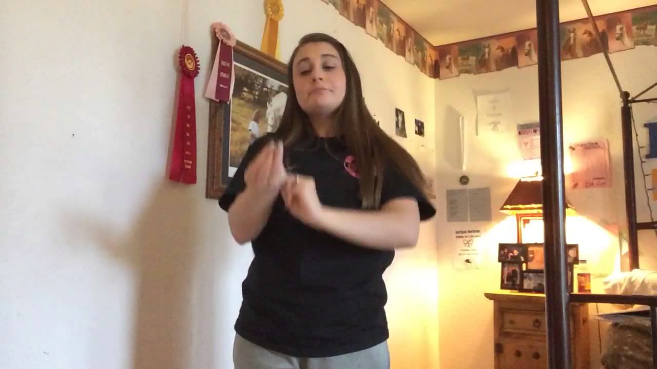 ASL 1 ABC story "the waitress" - YouTube