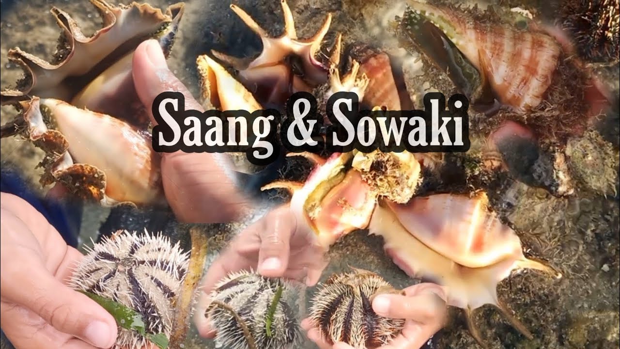 Jackpot nanaman nakakuha ng Maraming Saang At Sowaki Pt.106 (Sea Urchin ...