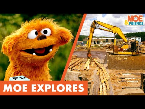 Moe Explores Paper Mill | Kids Learn How Paper is Made