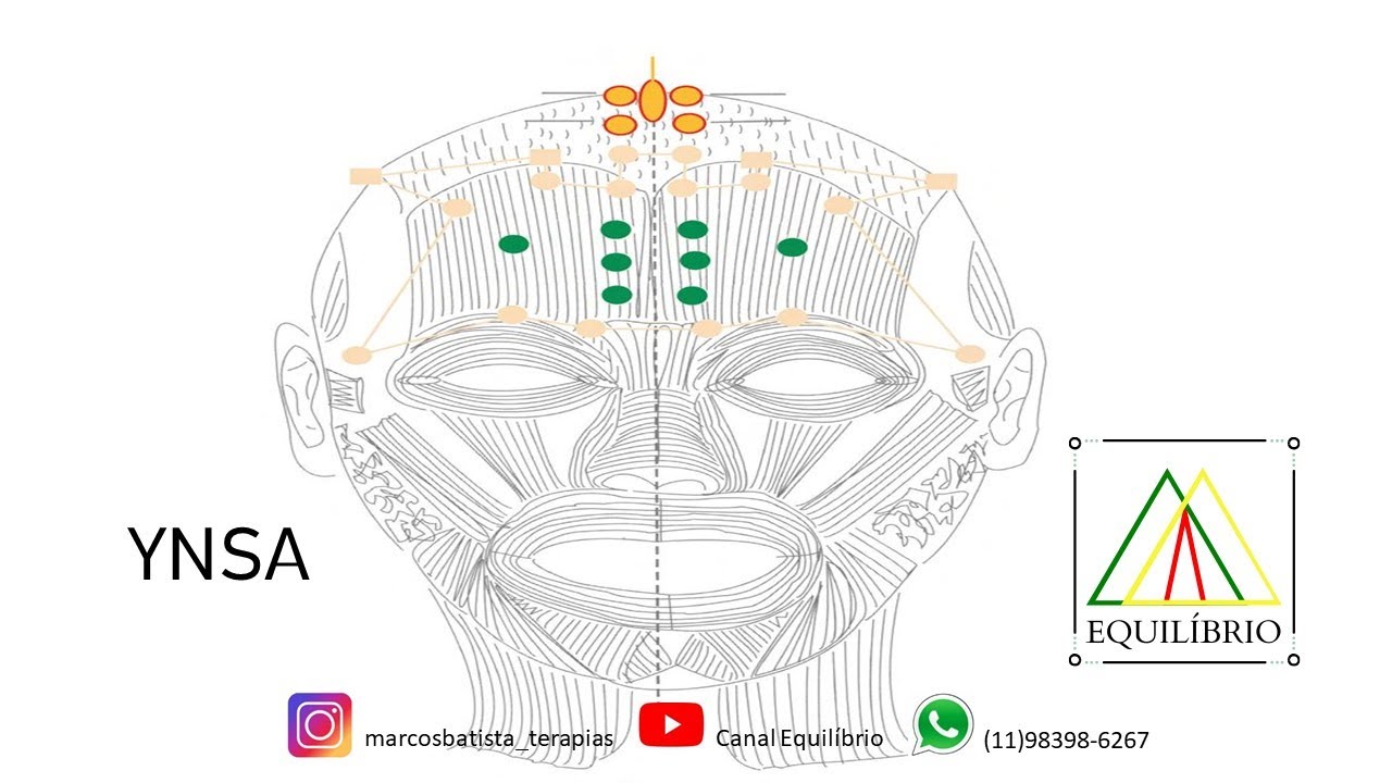 YNSA de Yamamoto - YouTube