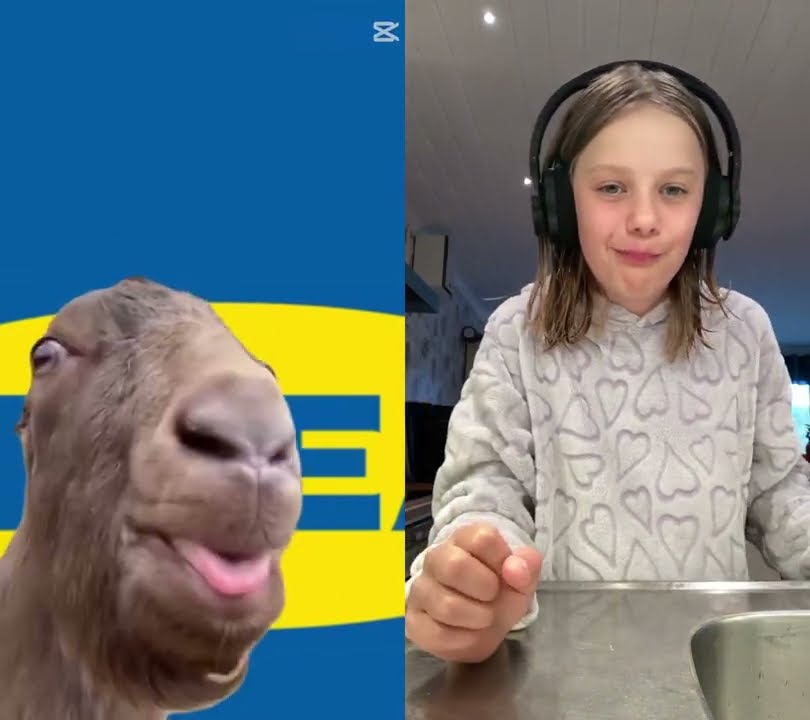 Haha so funny 😂😂😂 ️ - YouTube