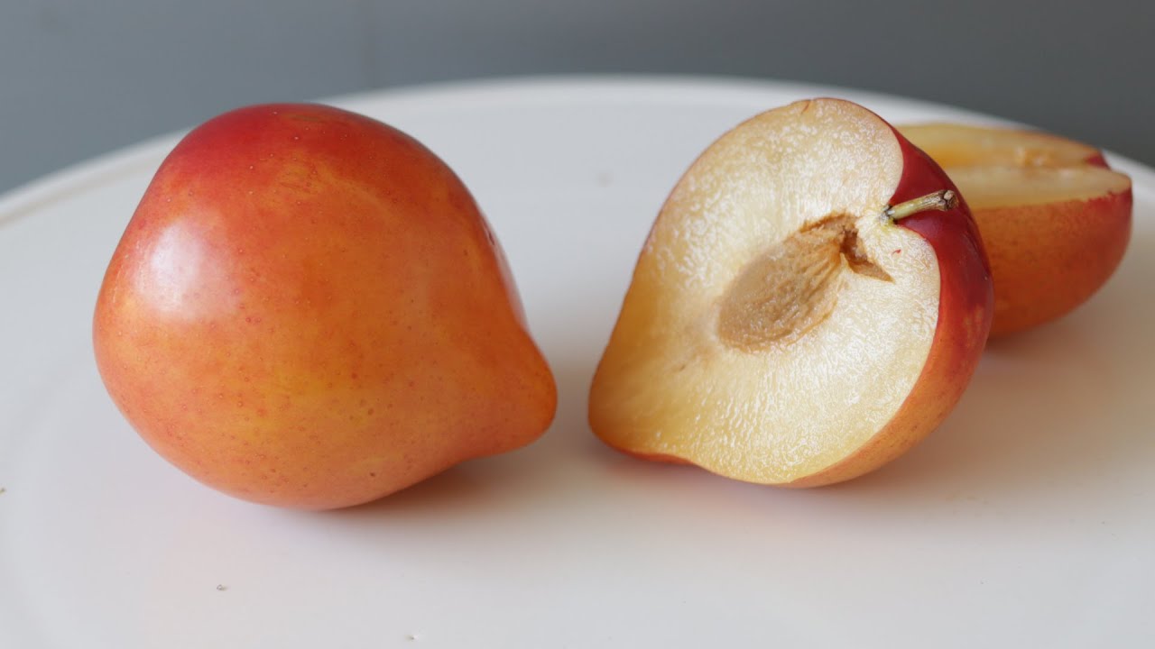 All About the Lemon Plum - YouTube