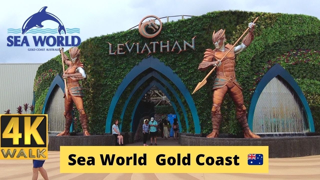 Sea World - Gold Coast Australia 🇦🇺 Walking Tour 4K - YouTube