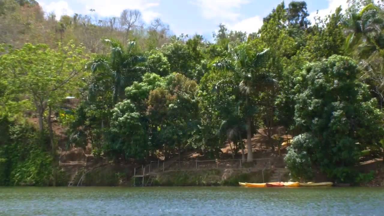 Jungle Tour german - YouTube