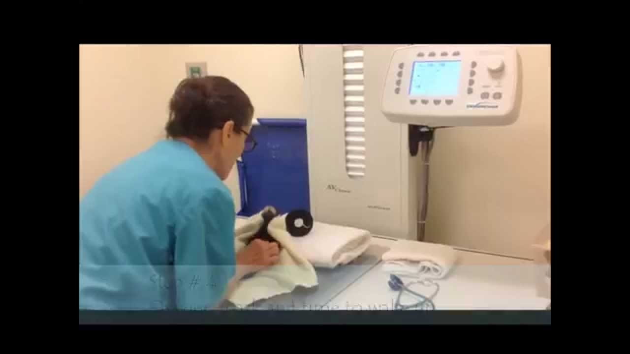 Avian Digital Radiographs - YouTube
