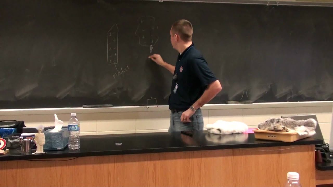 Demo #1 - Pd 5 - Plastic Rub w/ Fur - YouTube