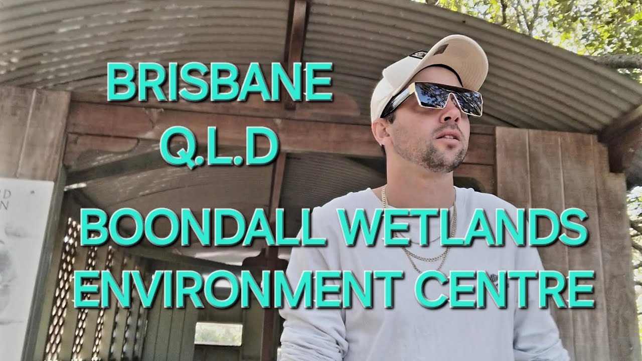 Boondall Wetlands, Brisbane QLD - YouTube