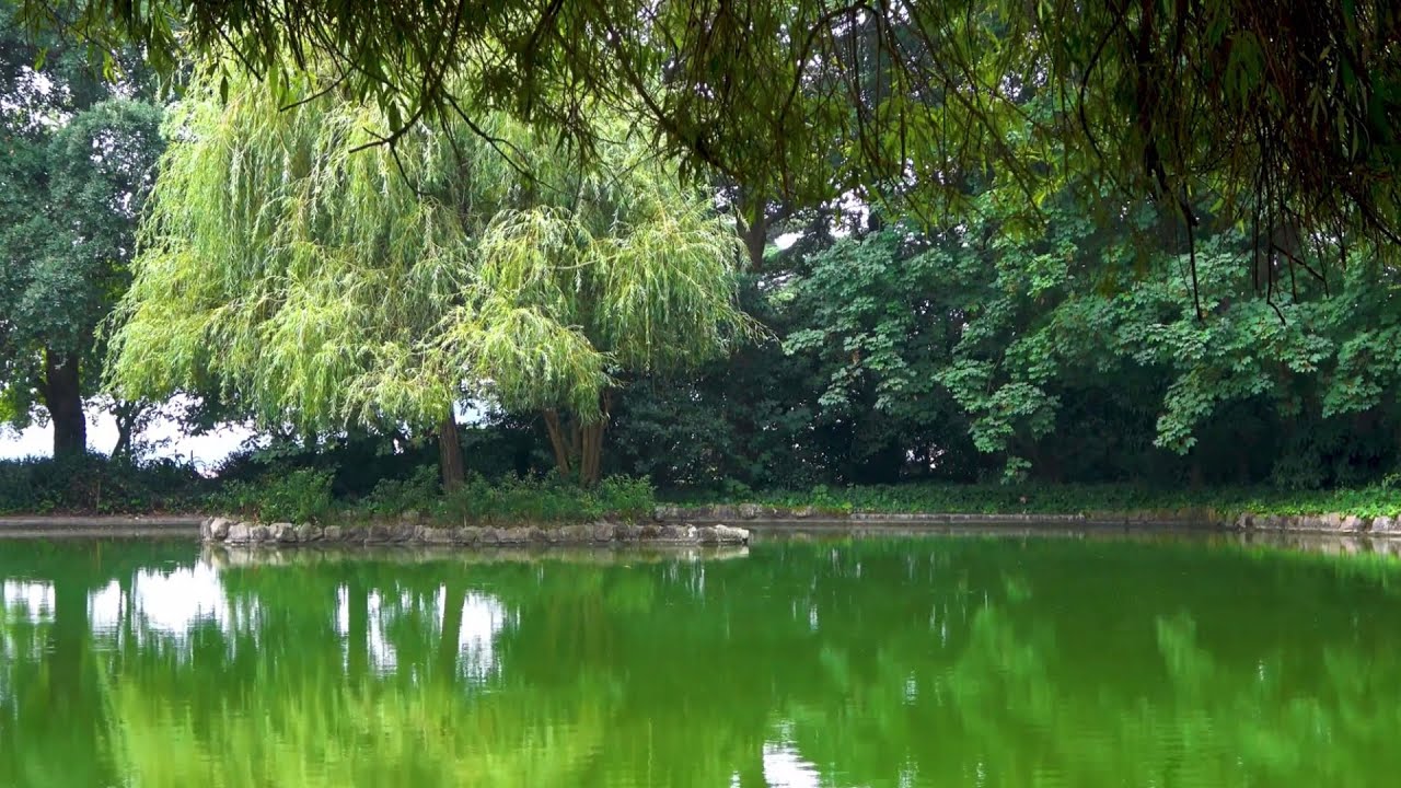 CALM GARDEN SOUNDS - SPRING AMBIENCE | ZEN GARDEN AMBIENCE | 3h - YouTube