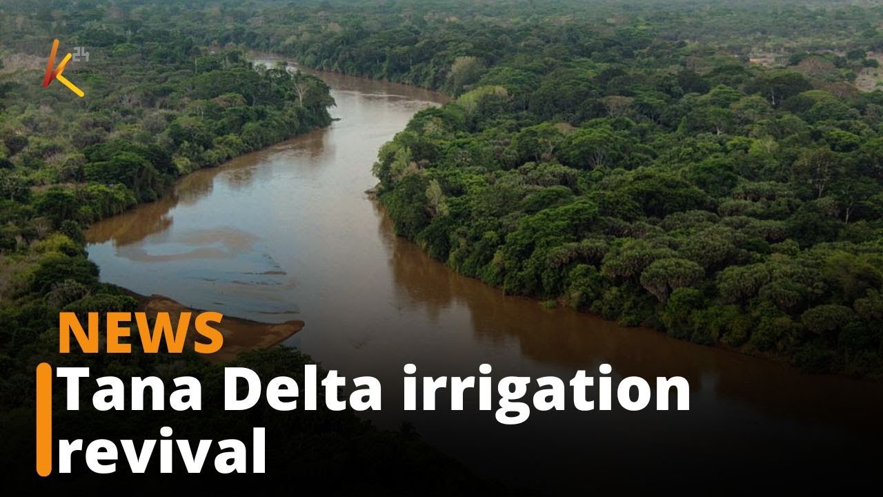 Government begins the Tana Delta Irrigation Project revival - YouTube