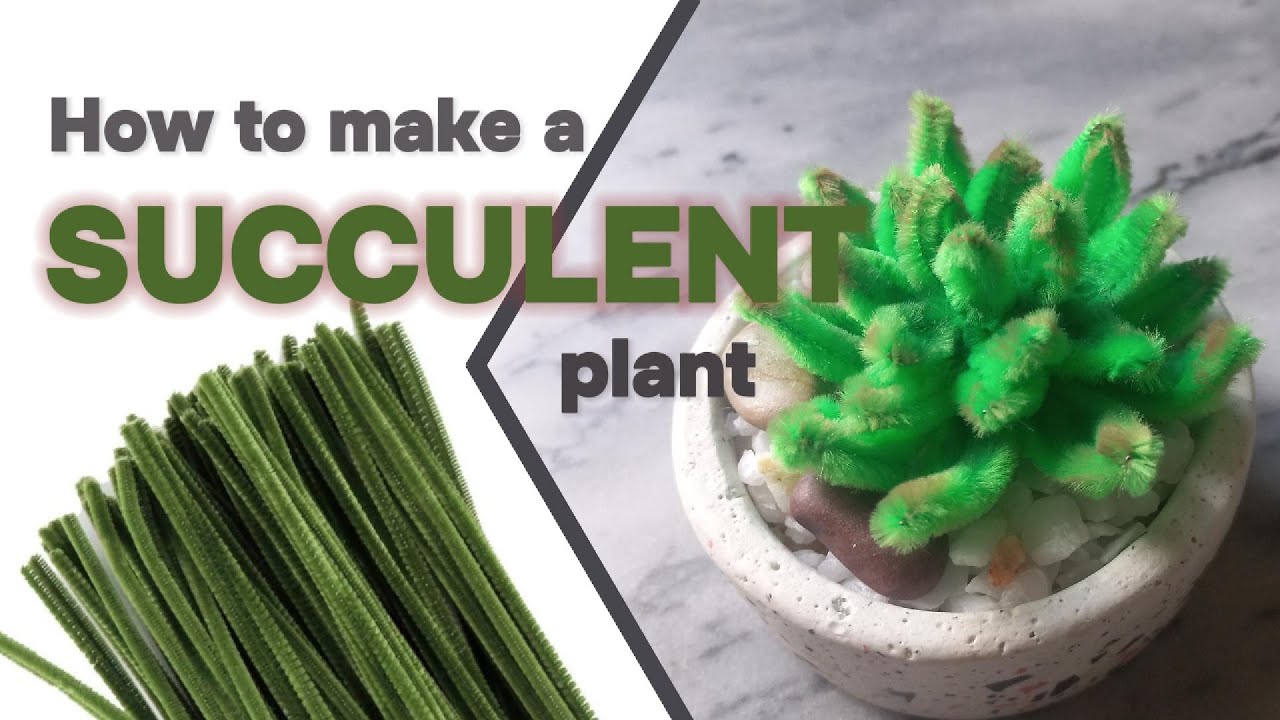 DIY Succulent Plant using Pipe Cleaner | Easy DIY Project - YouTube