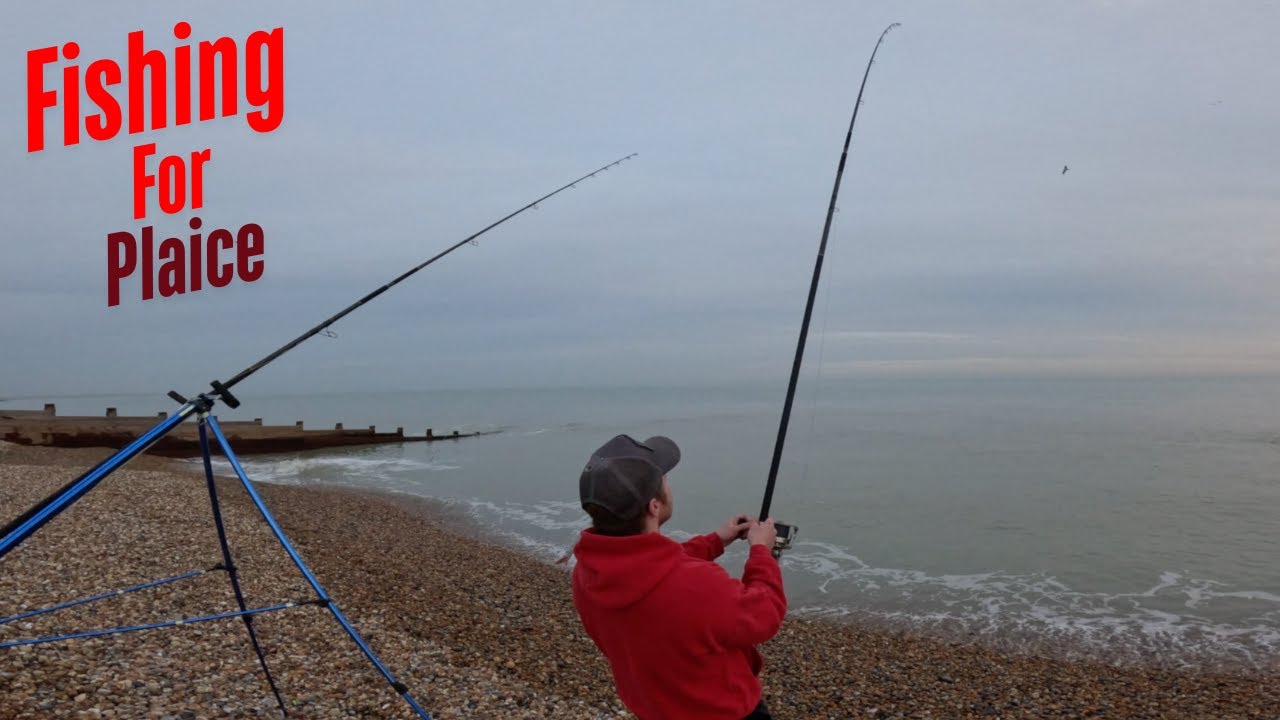 Beach Fishing UK - Early Season Plaice Fishing At Eastbourne - YouTube