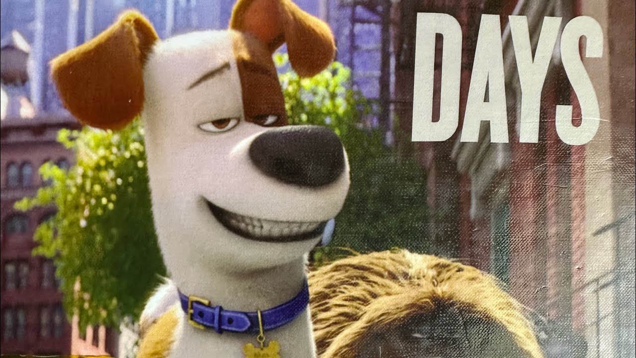 Story time for kids | Dog Days | movie based story books - YouTube