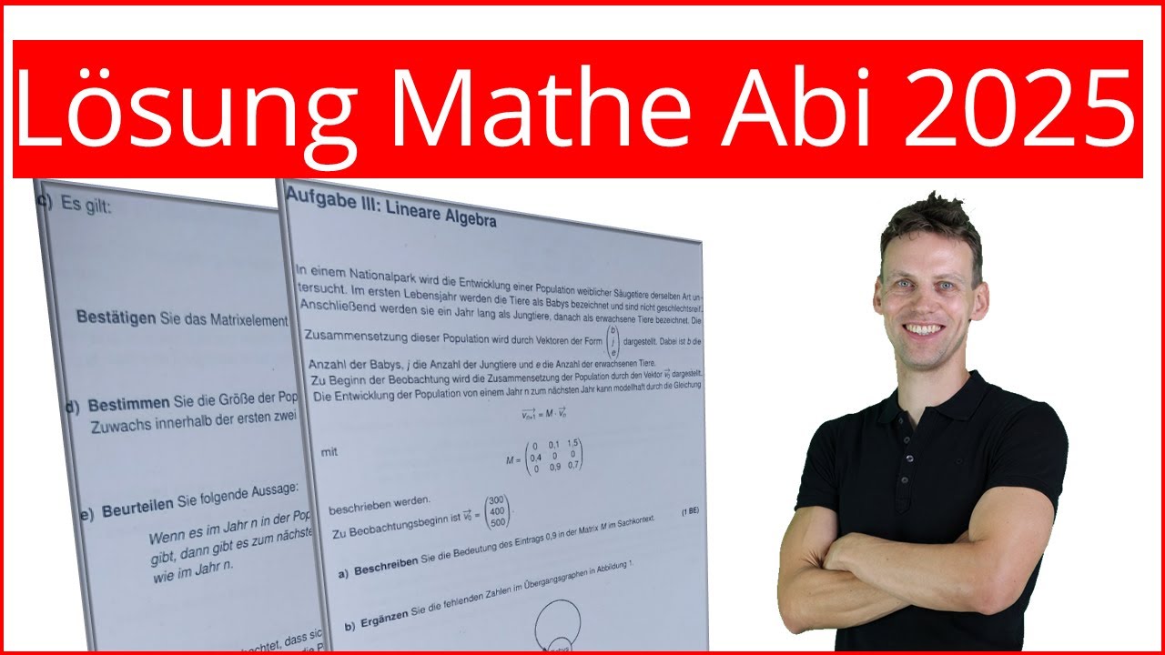 Lösung Mathe Abitur 2025 in Hamburg, Originalaufgabe von Lineare ...