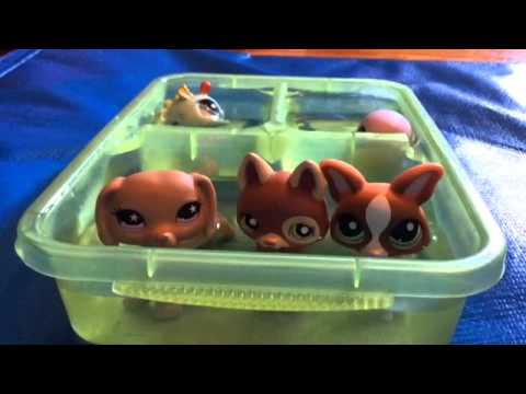 LPS Pool Party - YouTube