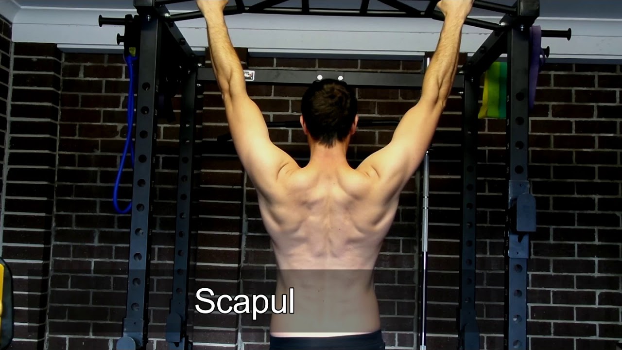 Upper pull / Back warm up - YouTube