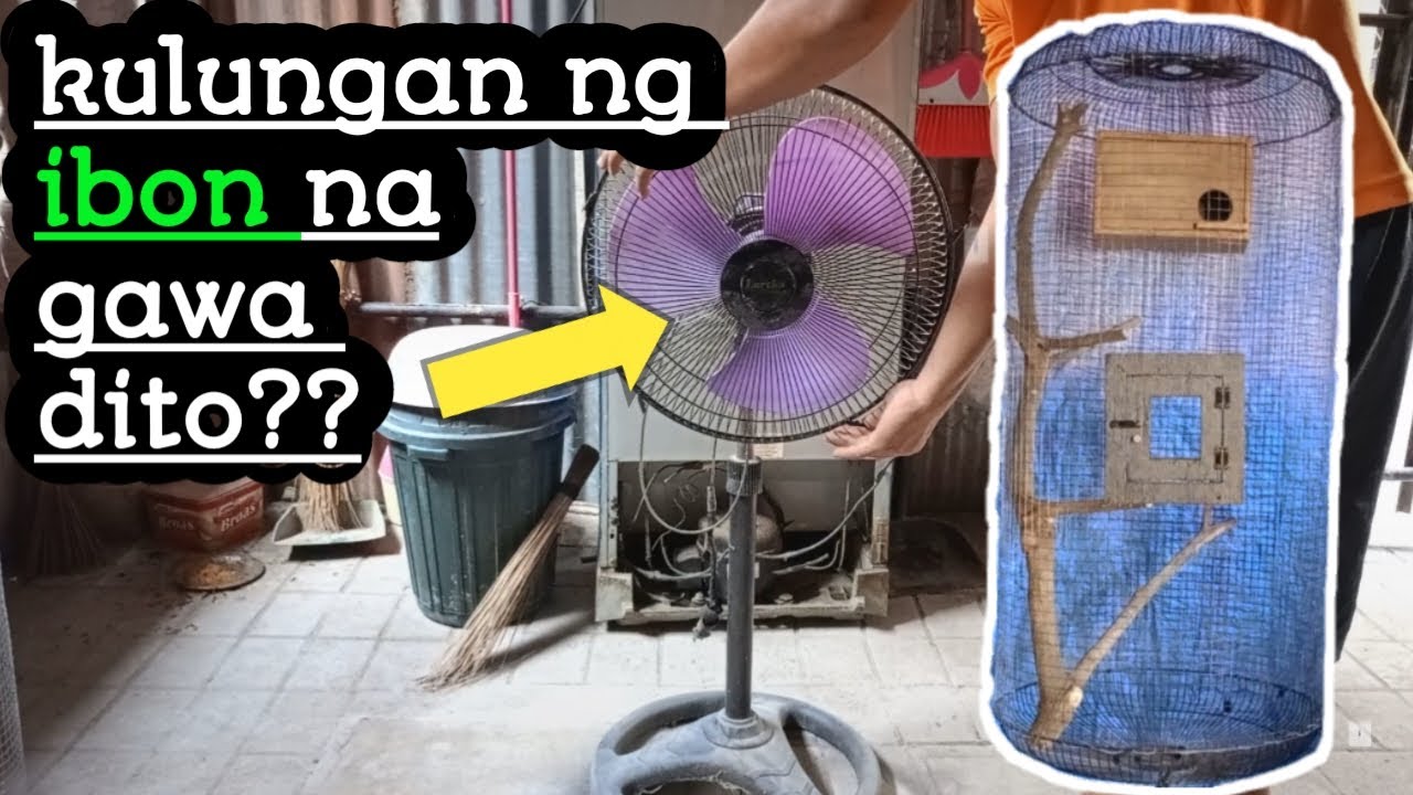 Your Birdy will love this🦜💖 diy bird cage from electric fan cover - YouTube