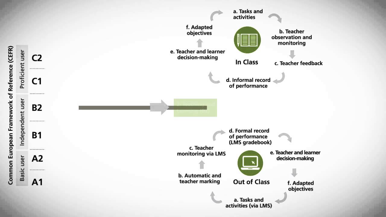 Learning Oriented Assessment: The different stages of the LOA cycle ...